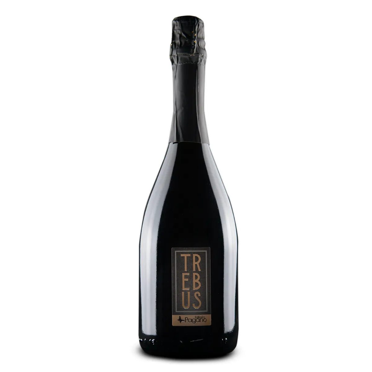 Trebus - Vino spumante di qualità brut – Fattoria Pagano - Azienda Vinicola
